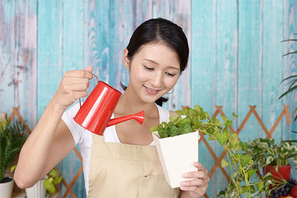 Growing a lot of food in small spaces – WNA